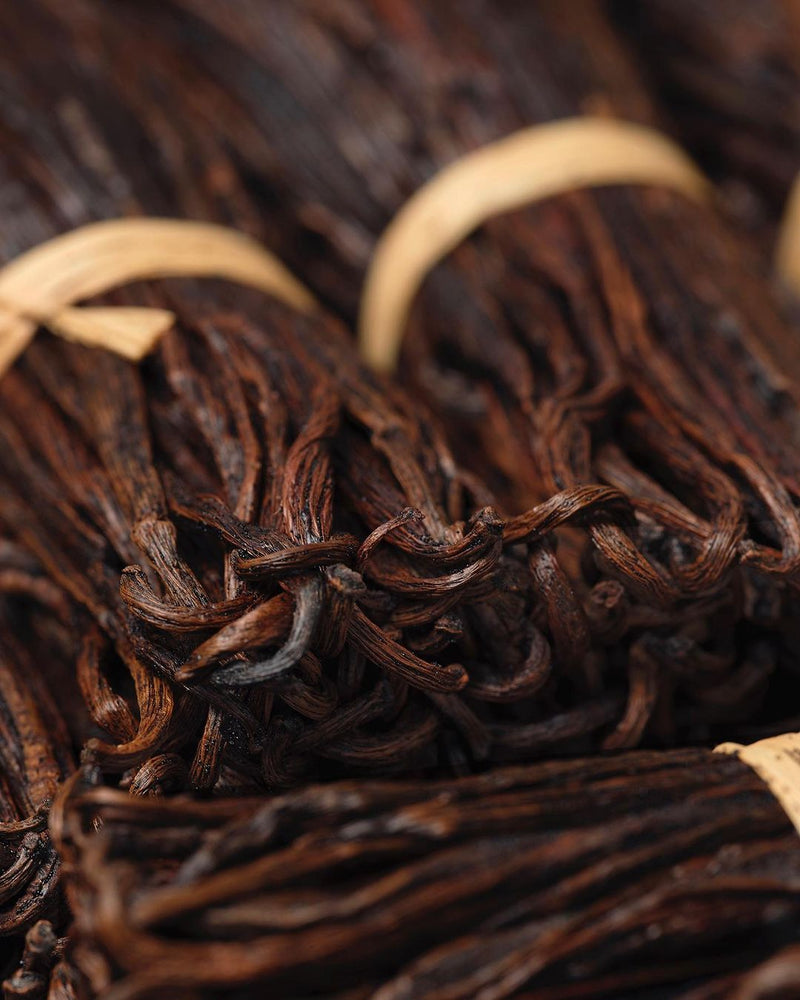 The Best Vanilla Perfumes – Libertine Parfumerie