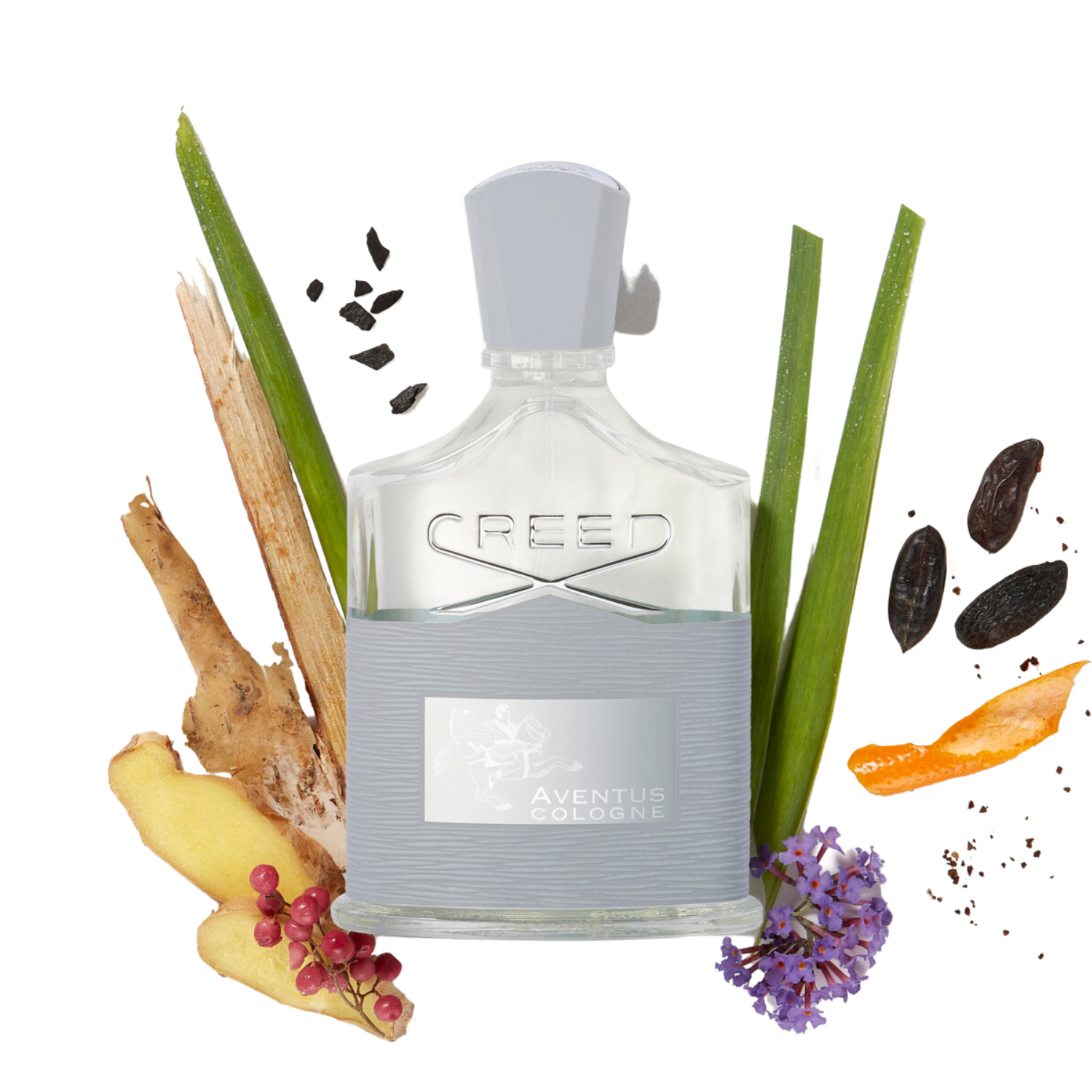 Creed-Aventus Absolu | Libertine Parfumerie